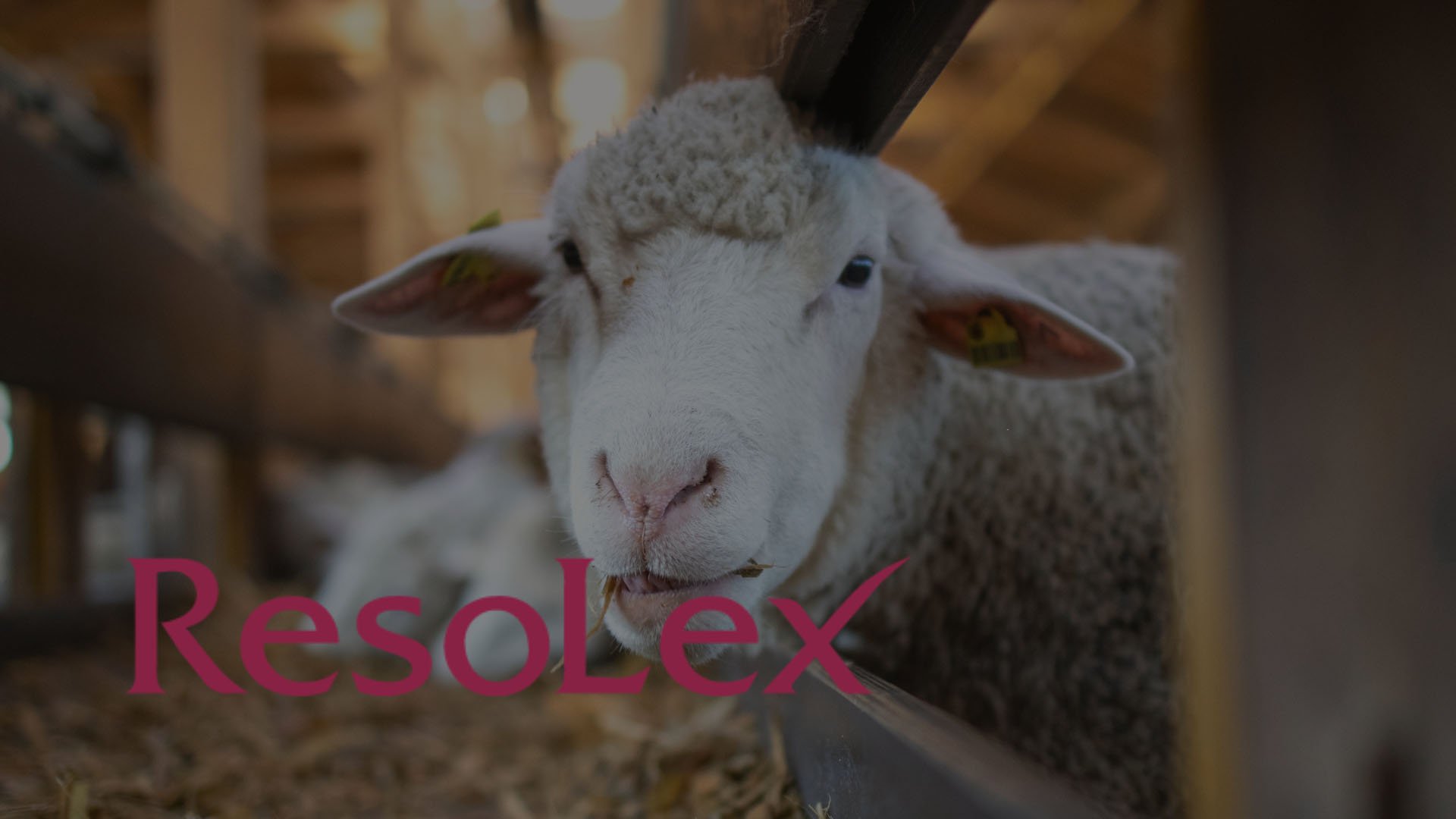ResoLex Providing Behavioural Consultancy to Key Defra Animal Health ...